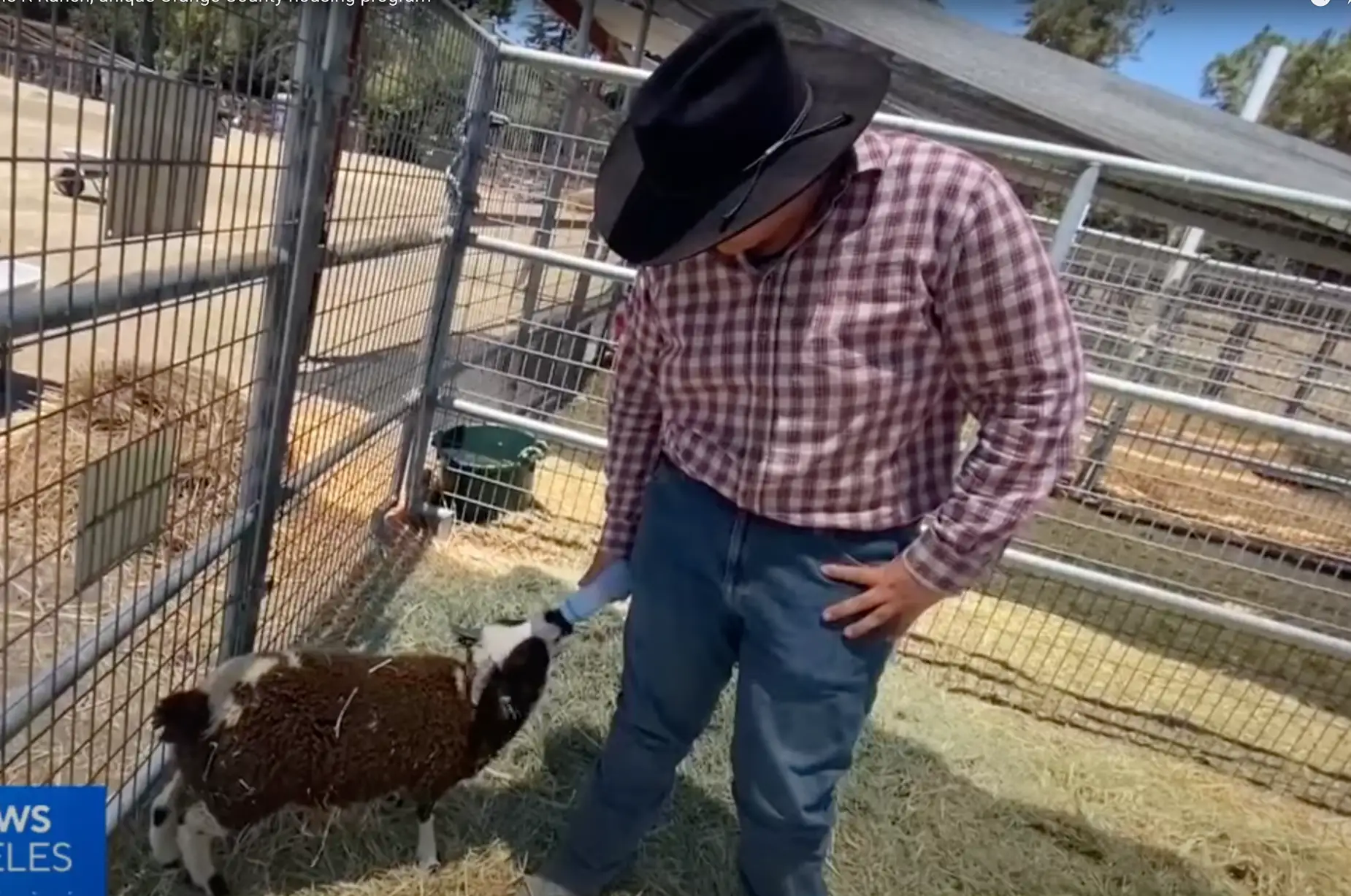 More than a dozen new rooms opening at Double R Ranch